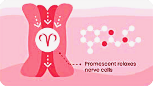 STAG 9000 | Enjoy Sex Time Muuuuuuuuuch Longer